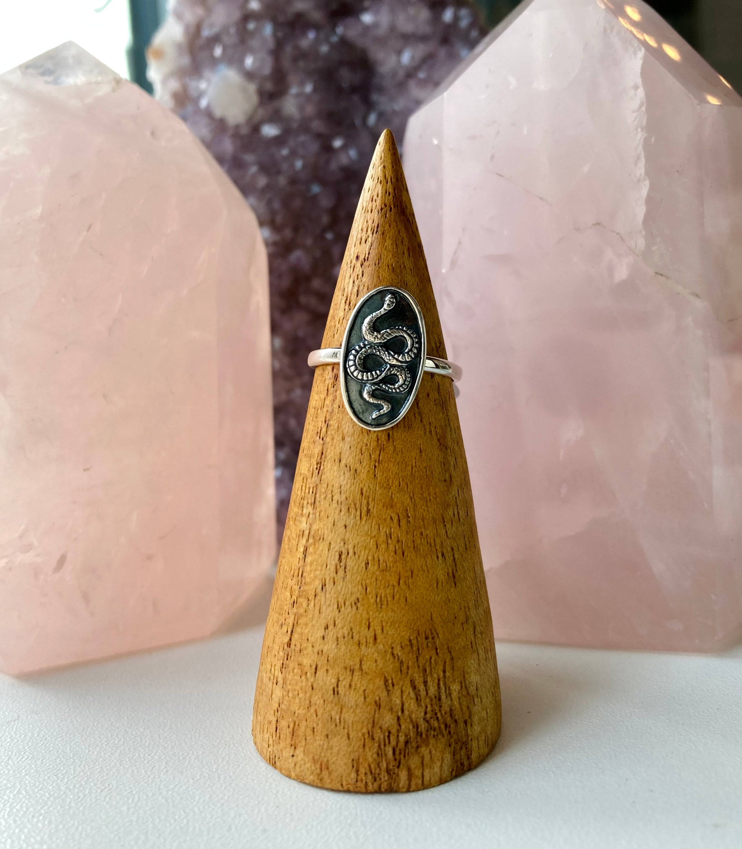 Sterling Silver Snake Disk Ring | KIN