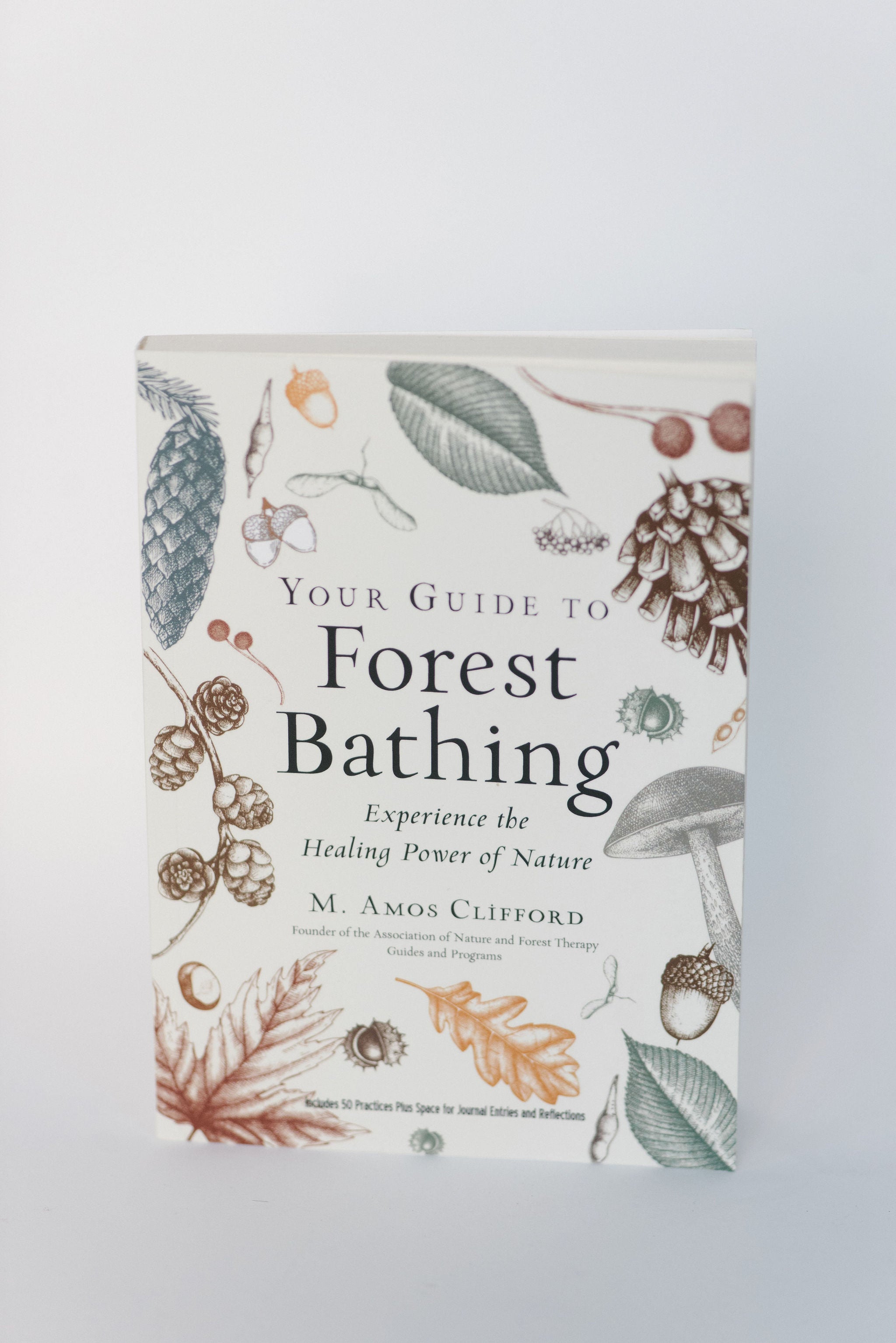 Your Guide To Forest Bathing Book | KIN